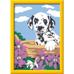 RAVENSBURGER VERLAG Ravensburger Malen nach Zahlen 20061 - Dalmatiner Welpe - Kinder ab 9 Jahren