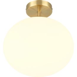 Trio LEUCHTEN Deckenleuchte "FOMENTO, Deckenlampe mit Glasschirm &Oslash; 30cm, exkl 1x E27 max 40W", messing matt, 1, &Oslash; 30cm H: 33cm, 1 Stk., Leuchten, rund Glas Deckenleuchte f&uuml;r K&uuml;che Esszimmer Wohnzimmer Schlafzimmer, Deckenleuchte
