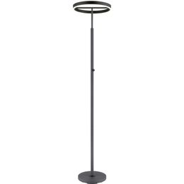 Globo LIGHTING Deckenfluter "EMANUEL", anthrazit, 1, &Oslash; 40cm H: 181cm, 1 Stk., Leuchten, LED Deckenfluter anthrazit, 4000K, Drehdimmer, starkes Licht, Deckenfluter