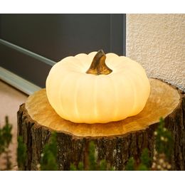 Tchibo - LED-K&uuml;rbis - wei&szlig;