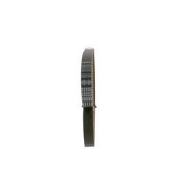 Bosch Zahnriemen 1987946808 f&uuml;r Fiat
