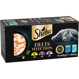 SHEBA Filets Multipack Schale 3 Variet. 6x60g