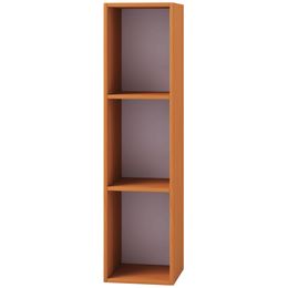Schallplattenregal Platto in Buchefarbe, B: 34 cm