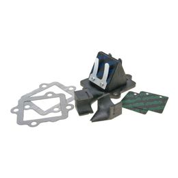 Membranblock Polini f&uuml;r Minarelli liegend, CPI, Keeway, 1E40QMB