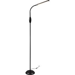 REALITY LEUCHTEN LED Stehlampe "TORO, LED Stehleuchte mit Flexarm, H&ouml;he 145cm Tiefe 45cm 5W 700 Lumen", schwarz, 1, H: 145cm, 1 Stk., Leuchten, Touch Dimmer und Lichtfarbe in Stufen w&auml;hlbar 3000-4000-5000K, LED Stehlampe