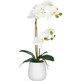 Kunstorchidee Creativ green "Orchidee Phalaenopsis", wei&szlig;, H:50cm, Kunststoff, Kunstpflanzen, mit dauerhafter Bl&uuml;tenpracht