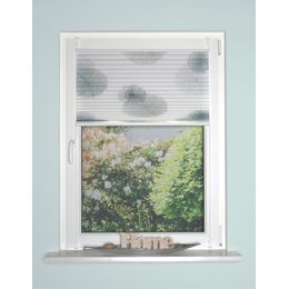 Plisseerollo Home Wohnideen "RAWLINS", grau (stein), B:40cm H:130cm, Obermaterial: 100% Polyester, Raffrollos, halbtransparent