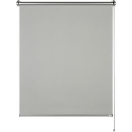 Sch&ouml;ner Wohnen Kollektion Seitenzugrollo "Thermorollo Martha", grau (hellgrau), B:80cm H:210cm, Polyester, SCH&Ouml;NER WOHNEN-KOLLEKTION, Rollos, Seitenzugrollo, Sch&ouml;ner Wohnen Rollo, geklebt
