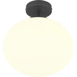 Trio LEUCHTEN Deckenleuchte "FOMENTO, Deckenlampe mit Glasschirm &Oslash; 30cm, exkl 1x E27 max 40W", schwarz matt, 1, &Oslash; 30cm H: 33cm, 1 Stk., Leuchten, rund Glas Deckenleuchte f&uuml;r K&uuml;che Esszimmer Wohnzimmer Schlafzimmer, Deckenleuchte