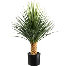 Kunstpflanze Creativ green "Yucca Rostrata auf Stamm", gr&uuml;n (gr&uuml;n, grau), H:85cm, Kunstpflanzen, Kunstpflanze, auf Stamm