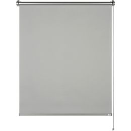 Sch&ouml;ner Wohnen Kollektion Seitenzugrollo "Thermorollo Martha", grau (hellgrau), B:100cm H:150cm, Polyester, SCH&Ouml;NER WOHNEN-KOLLEKTION, Rollos, Seitenzugrollo, Sch&ouml;ner Wohnen Rollo, geklebt