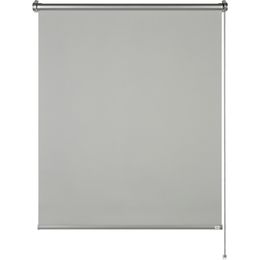 Sch&ouml;ner Wohnen Kollektion Seitenzugrollo "Thermorollo Martha", grau (hellgrau), B:45cm H:150cm, Polyester, SCH&Ouml;NER WOHNEN-KOLLEKTION, Rollos, Seitenzugrollo, Sch&ouml;ner Wohnen Rollo, geklebt