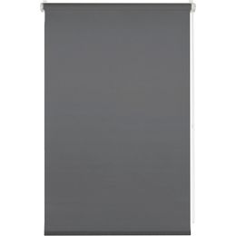Seitenzugrollo Gardinia "Uni Klemmrollo", grau (anthrazit), B:50cm H:150cm, Polyester, Rollos, Seitenzugrollo, Schraubmontage m&ouml;glich