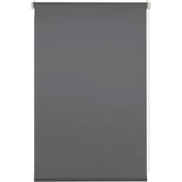 Seitenzugrollo Gardinia "Uni Klemmrollo", grau (anthrazit), B:55cm H:150cm, Polyester, Rollos, Seitenzugrollo, Schraubmontage m&ouml;glich