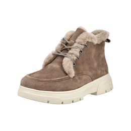 Schn&uuml;rstiefelette Caprice "Caprice Stiefelette Veloursleder/Textil", Damen, Gr. 37, taupe, Textil, Veloursleder, Schuhe Schn&uuml;rstiefelette