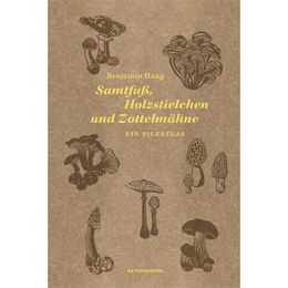 Samtfu&szlig;, Holzstielchen und Zottelm&auml;hne