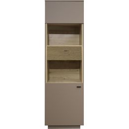 M&auml;usbacher Standvitrine M&Auml;USBACHER, taupe matt lack nb, eiche massiv geschruppt, B:60cm H:196cm T:45cm, Holzwerkstoff, Schr&auml;nke, Standvitrine, Standvitrine, BHT 60/196/45 cm, inkl. Griffbeleuchtung, T&uuml;rd&auml;mpfung