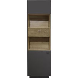 M&auml;usbacher Standvitrine M&Auml;USBACHER, anthrazit matt lack nb, eiche massiv geschruppt, B:60cm H:196cm T:45cm, Holzwerkstoff, Schr&auml;nke, Standvitrine, Standvitrine, BHT 60/196/45 cm, inkl. Griffbeleuchtung, T&uuml;rd&auml;mpfung