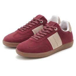 Sneaker ELBSAND "Freizeitschuh, Schn&uuml;rschuh, Turnschuh, Retro Sneaker, Lederschuh", Damen, Gr. 36, bordeaux, beige, Obermaterial: 100% Rindsleder. Decksohle: 100% Textilmaterial. Futter: 100% Textilmaterial. Laufsohle: 100% Synthetik, unifarben mit Farbeinsatz, Basic, Schuhe Sneaker, Ledersneaker, Schn&uuml;rhalbschuh aus Leder im modernen Retro Look Unisex