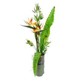 Kunstblume I.GE.A. "Strelitzie", orange, B:36cm H:105cm L:24cm, Kunstpflanzen, In Vase aus Keramik mit Bambus Dekobl&auml;tter und Gras