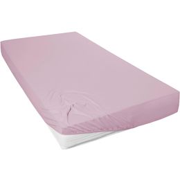 Spannbettlaken Primera "Mako-Feinjersey Spannbetttuch", lila (mauve), B:90cm L:200cm, Mako-Jersey, Obermaterial: 100% Baumwolle, Bettlaken, Spannbettlaken, Geeignet f&uuml;r Standardmatratzen bis 22 cm, 100% Baumwolle