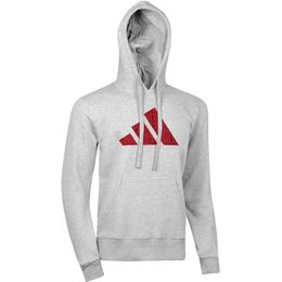 Hoodie adidas Performance "Perfo Script Graphic Hoody" Gr. L, grau, Sweatshirts, Herren, L, Obermaterial: 100% Baumwolle, Hoodie