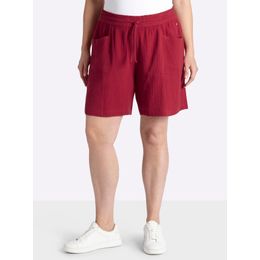 Shorts sheego, Damen, Gr. 48, Normalgr&ouml;&szlig;en, kirsche, 100% Baumwolle, unifarben, Hosen Shorts