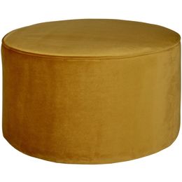 Hocker Sara Gelb
