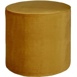 Hocker Sara Gelb