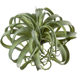 Kunstpflanze Creativ green "Tillandsie", grau (grau, gr&uuml;n), H:35cm &Oslash;:32cm, Kunststoff, Kunstpflanzen, Kunstpflanze