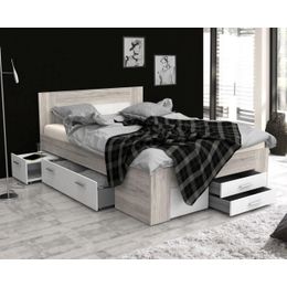 FORTE Bettanlage UDINE