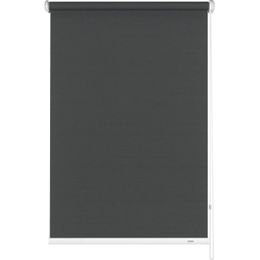 Seitenzugrollo Gardinia "Uni-Rollo" Gr. 5, grau, B:102cm H:180cm, Polyester, Rollos, Seitenzugrollo, 1 St&uuml;ck, im Fixma&szlig;