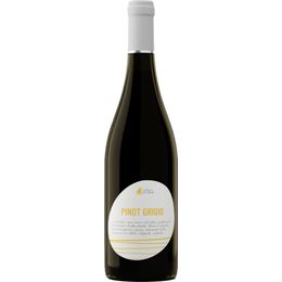 Terre Rosse di Adamo Lestani Friuli Pinot Grigio 2025 Trocken - Friaul &ndash; Wei&szlig;wein DOC