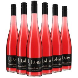 Weingut Leo Lahm SUMMERFEELING-Paket Dornfelder 2025 Trocken - Rheinhessen &ndash; Probierpaket Qualit&auml;tswein