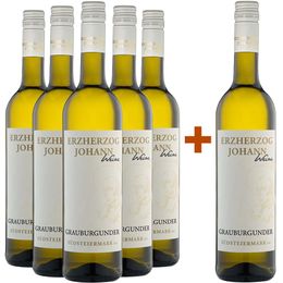Erzherzog Johann Weine 5+1 Paket Vinothek Grauburgunder 2025 Trocken - Steiermark &ndash; Probierpaket Qualit&auml;tswein