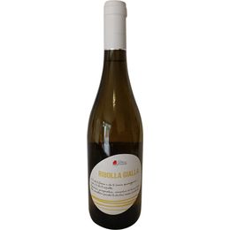 Terre Rosse di Adamo Lestani Venezia Giulia Ribolla Gialla 2025 Trocken - Friaul &ndash; Wei&szlig;wein IGP