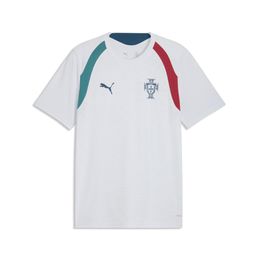 Trainingsshirt Puma "Portugal Slim Trainingstrikot Herren", Herren, Gr. L, silber mist ocean tropic gray blau, Obermaterial: 100% Polyester. Rippe: 100% Polyester. Einsatz: 100% Polyester, clean, slim fit, Rundhals, Shirts