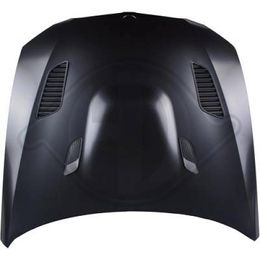 DIEDERICHS Motorhaube 1216200