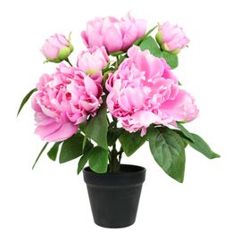 Kunstpflanze I.GE.A. "K&uuml;nstlicher P&auml;onienbusch im Topf", rosa, B:31cm H:40cm T:25cm, Polyester, Kunstpflanzen, Kunstpflanze, 40cm Pfingstrose P&auml;onie Dekoblumen Kunstblume Deko Hochzeit