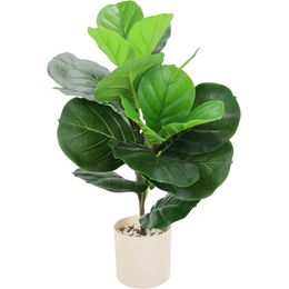 Kunstblume I.GE.A. "K&uuml;nstlicher Feigenbaum im Topf Zimmerpflanze", gr&uuml;n, B:30cm H:56cm T:28cm, Polyester, Kunstpflanzen, Geigenfeige Tabakpflanze Pflanze Kunstpflanze Kunstbaum Dekobaum