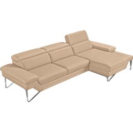 Ecksofa Egoitaliano "Princess, elegantes Designsofa mit erstklassigem Sitzkomfort, L-Form", beige (champagner), B:282cm H:95cm T:168cm, Leder &raquo;BULL&laquo; (echtes Rindsleder). Geschliffenes, pigmentiertes und behandeltes Rindsleder mit einer Dicke von 1, 3-1, 5 mm. Dieses Leder zeigt eine ziemlich weiche Hand mit einem halb undurchsichtigen Aussehen. Es handelt sich um ein gesch&uuml;tztes Leder. Eine leicht