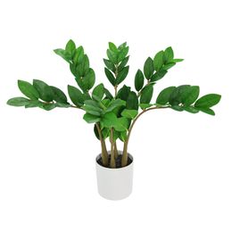 Kunstblume I.GE.A. "Kunstpflanze Zamioculcas im Topf", gr&uuml;n, B:50cm H:56cm T:46cm, Polyester, Kunstpflanzen, K&uuml;nstliche Pflanze Tropenwurz Gl&uuml;cksfeder Gr&uuml;npflanze Dekopflanze