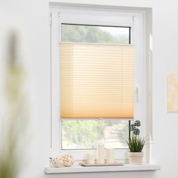 Plissee LICHTBLICK ORIGINAL "Klemmfix" Gr. 13, beige (creme, wei&szlig;), B:70cm H:210cm, Obermaterial: 100% Polyester, Plissees, Faltenstore