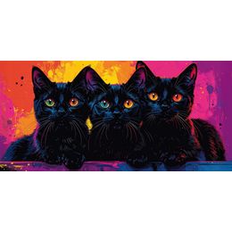 Bild B&Ouml;NNINGHOFF "BUNTE KATZE 33x70 cm &ndash; Leinwandbild Keilrahmen Deko modern", farbe bild(er): pink, rot, gelb, gr&uuml;n, blau, B:70cm H:33cm T:1,8cm, Canvas, MDF, Bilder, Bild