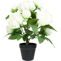 Kunstpflanze I.GE.A. "K&uuml;nstlicher P&auml;onienbusch im Topf", wei&szlig;, B:31cm H:40cm T:25cm, Polyester, Kunstpflanzen, Kunstpflanze, 40cm Pfingstrose P&auml;onie Dekoblumen Kunstblume Deko Hochzeit