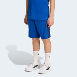 Shorts adidas Sportswear "J TR-ES 3S SH", Jungen, Gr. 116, N-Gr, royal blau, dunkelblau,, Obermaterial: 100% Polyester, Hosen Shorts