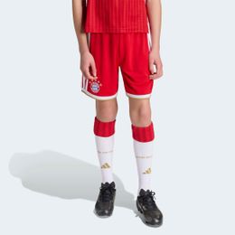 Trainingsshorts adidas Performance "FCB H SHO Y", Jungen, Gr. 176, N-Gr, better scarlet,, Obermaterial: 100% Polyester, Hosen, regul&auml;re Passform, f&uuml;r Fu&szlig;ball, mit Vereinslogo