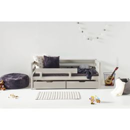 Einzelbett Hoppekids "ECO Comfort Kinderbett, Kiefer Massivholz, Jugendbett inkl. Rollrost", grau (tauben grau), B:76cm H:65cm L:166cm, Kiefer massiv, Betten, 70x160 cm, wahlweise in verschieden Farben/ Matratze/ Absturzsicherung