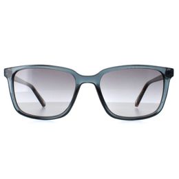 Ted Baker TB1529 Farley 625 taubenblau blau grau Sonnenbrille mit Farbverlauf