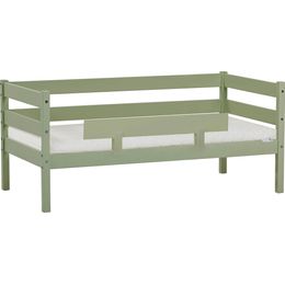 Einzelbett Hoppekids "ECO Comfort Kinderbett, Kiefer Massivholz, Jugendbett inkl. Rollrost", gr&uuml;n (blassgr&uuml;n), B:76cm H:65cm L:166cm, Kiefer massiv, Betten, 70x160 cm, wahlweise in verschieden Farben/ Matratze/ Absturzsicherung